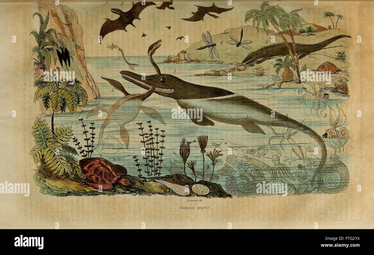 A pictorial dictionary of natural history and phenomena, featuring ...