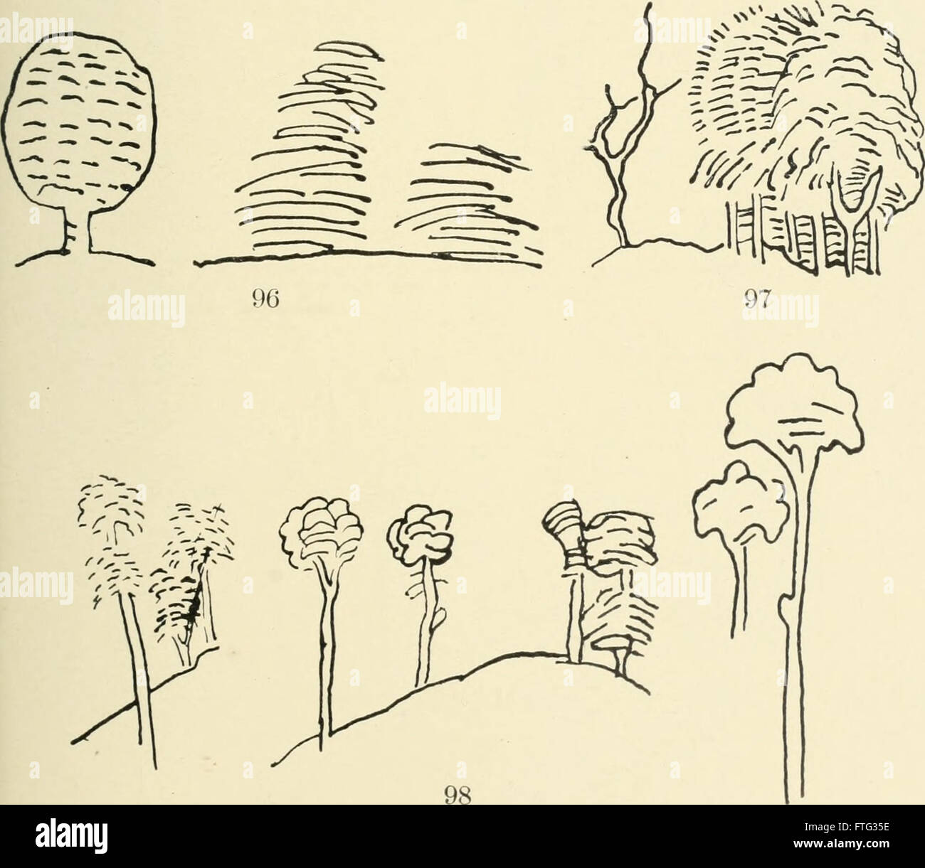 A study from 1910 focusing on tree drawings in German graphic art ...
