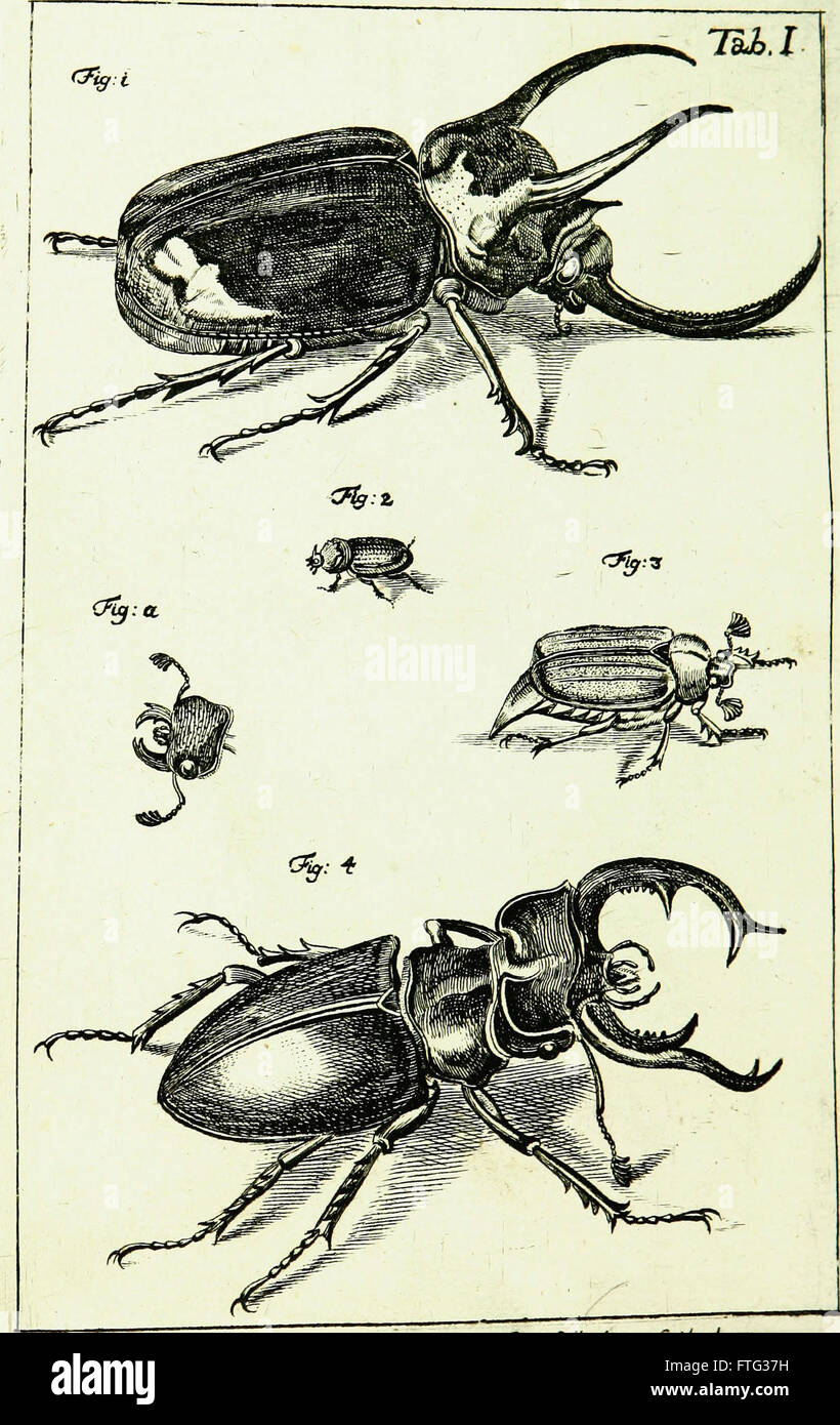 This 1761 work by Karl Linnaeus details the characteristics of insects ...