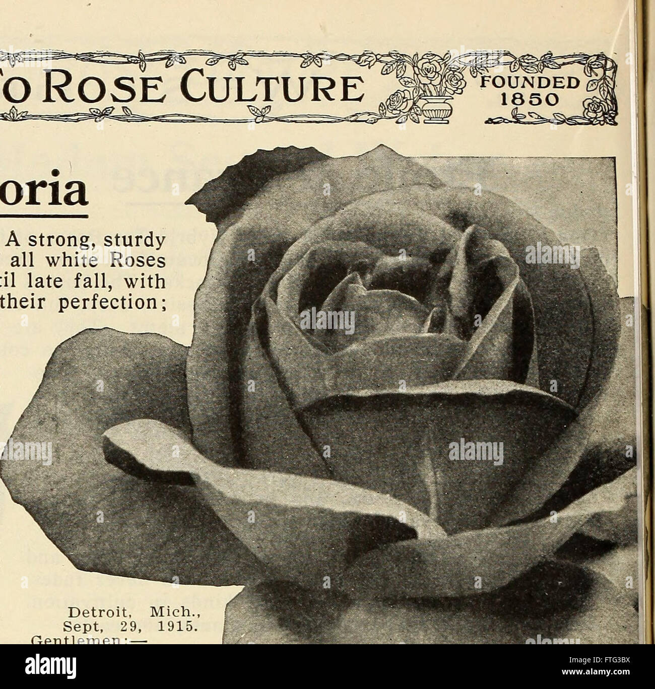 The 1916 guide by Dingee on rose cultivation, providing advice on ...