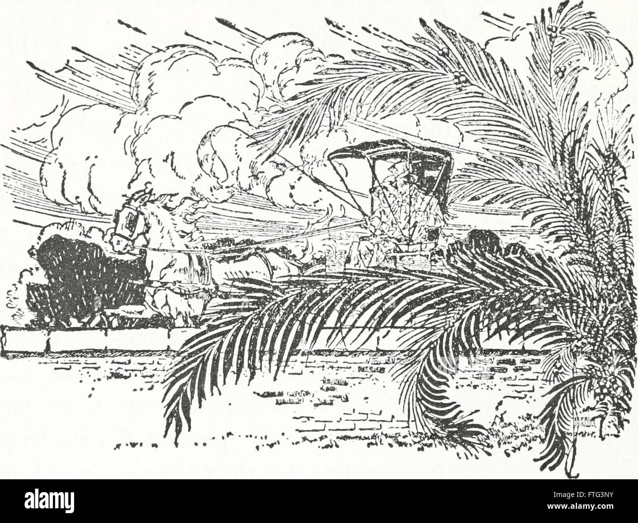 A part of L. Frank Baum's 'Oz' series, this book recounts Dorothy's ...
