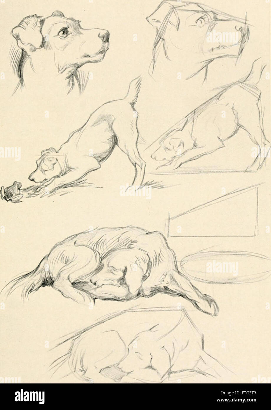 A 1920 guide designed to teach beginners the fundamentals of drawing ...