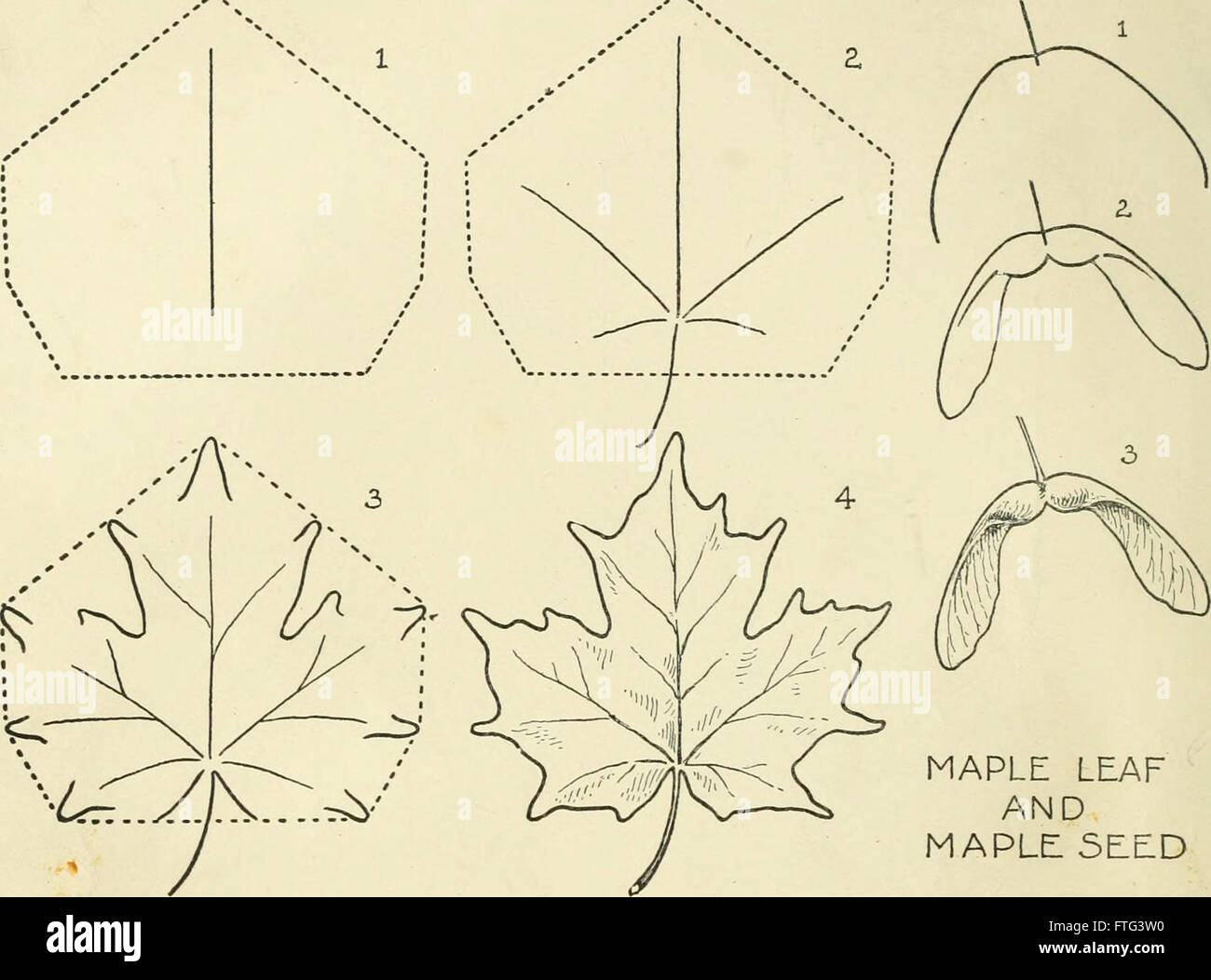 A 1921 guidebook for young artists, offering a structured, step-by-step ...