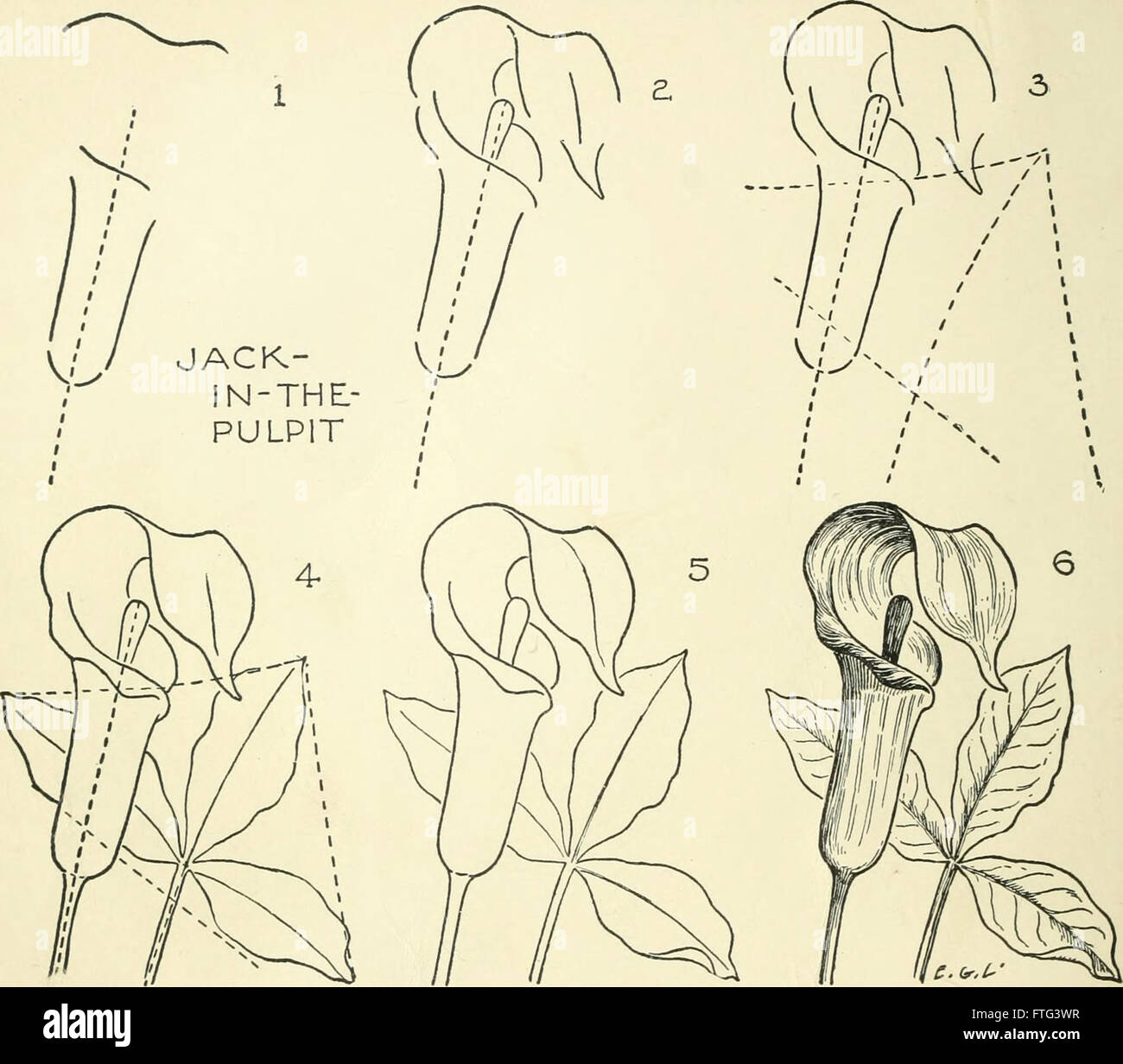 A 1921 guide designed to assist young artists in learning basic drawing ...