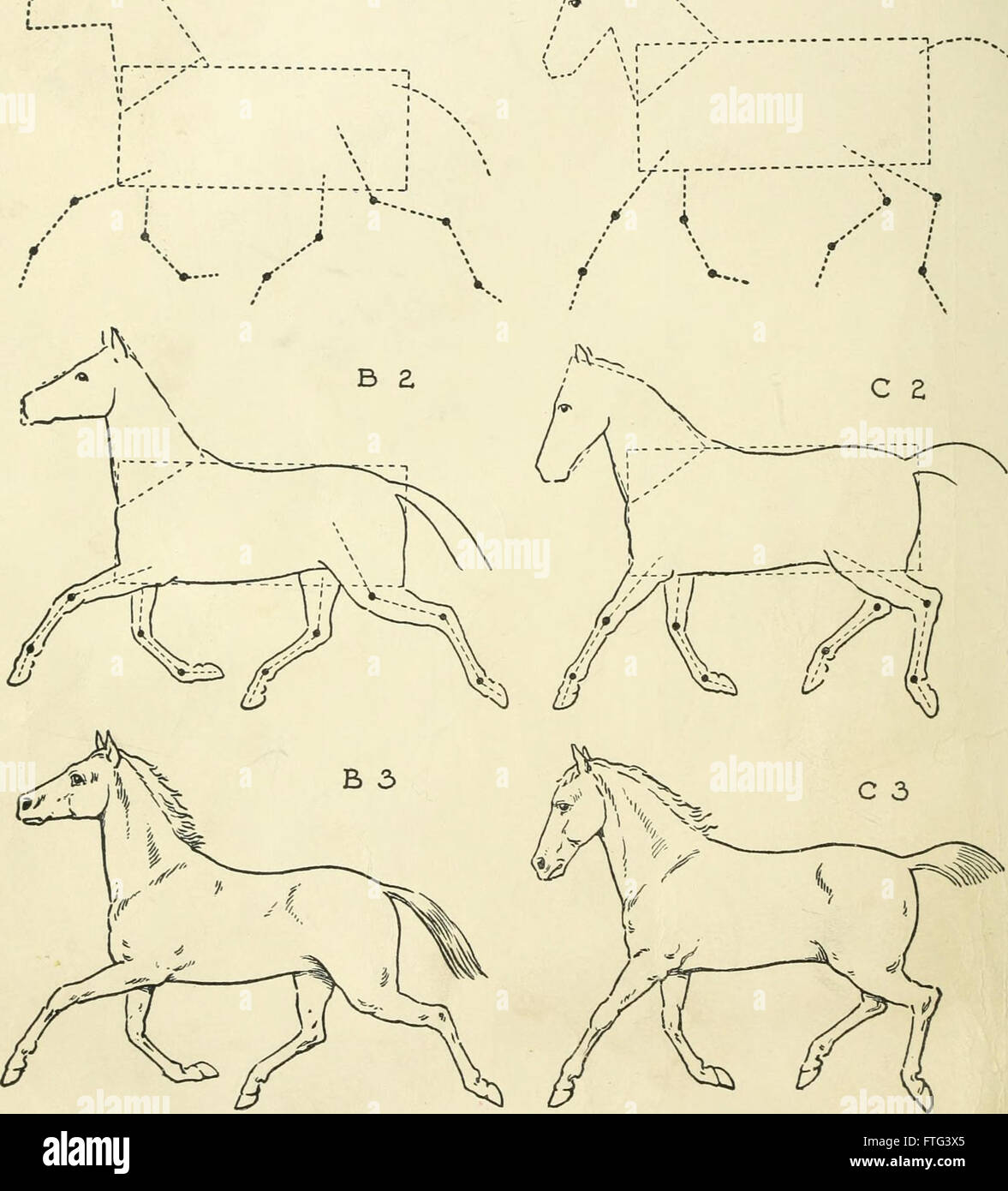Drawing Made Easy (1921) is a step-by-step guide for young artists ...