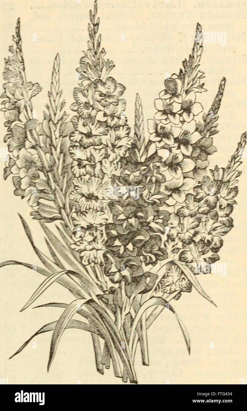 This 1880 garden calendar offers a detailed guide to planting and ...