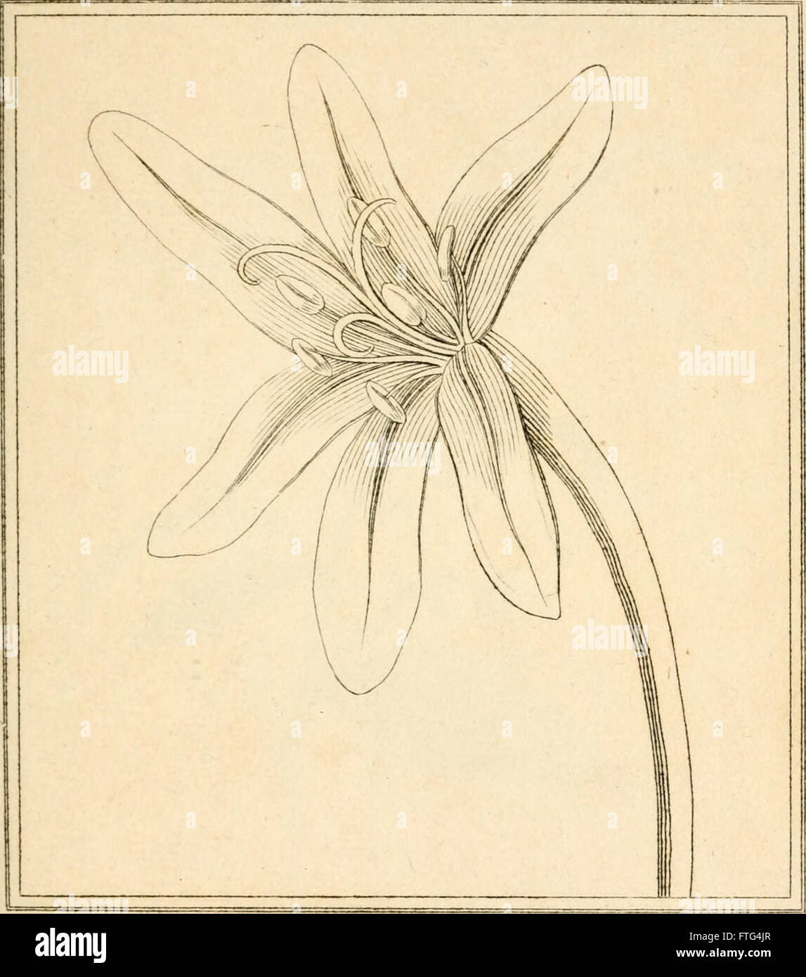 *Elements of the Science of Botany* (1809) presents Linnaeus' system of ...