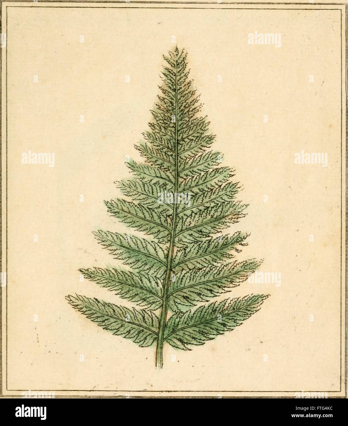*Elements of the Science of Botany* (1809) outlines Linnaeus ...
