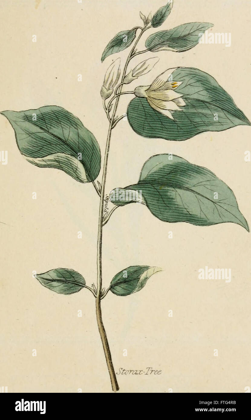 This 1812 work outlines the principles of botany as established by Carl ...