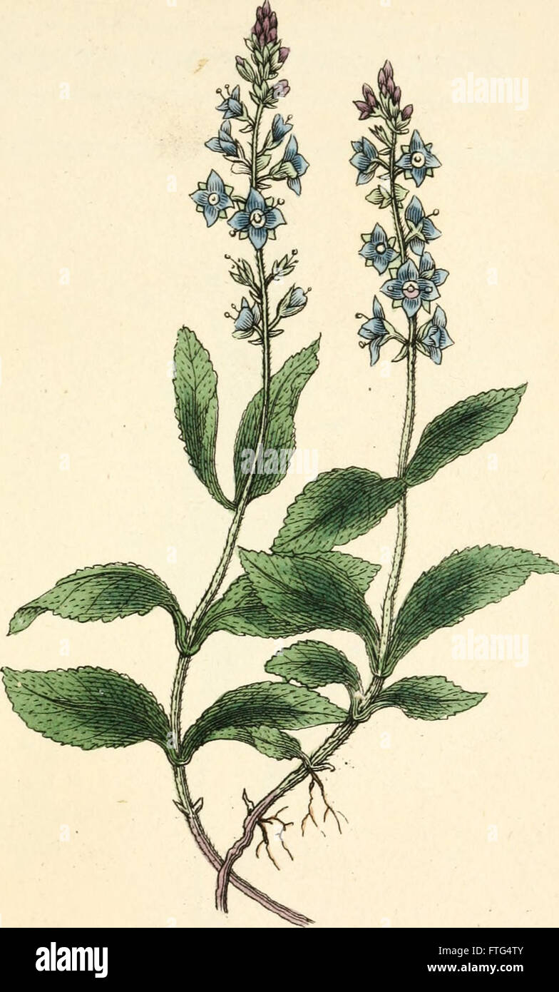 This 1812 work outlines the foundational principles of botany as ...