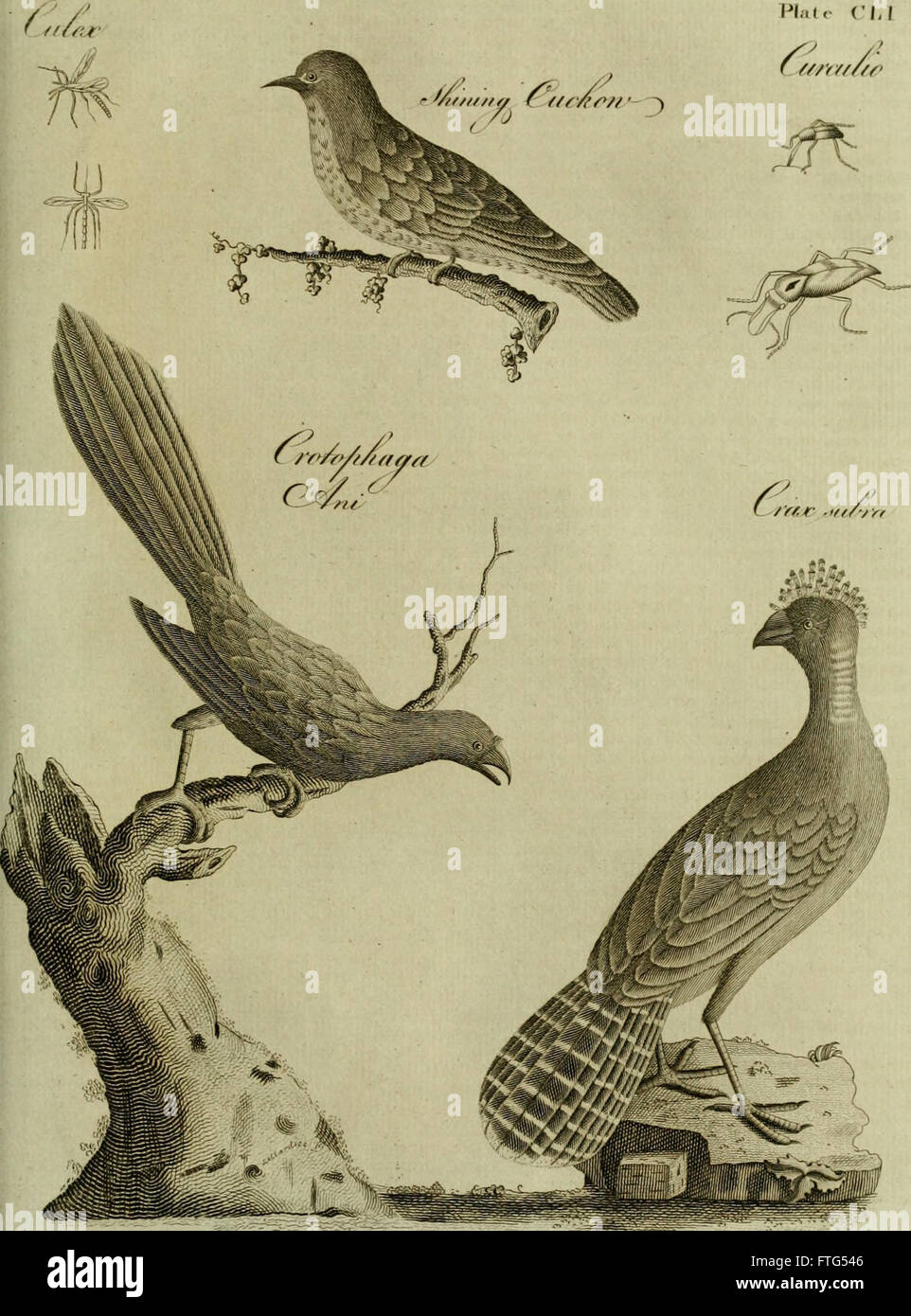 This encyclopaedia offers an in-depth compilation of arts, sciences ...