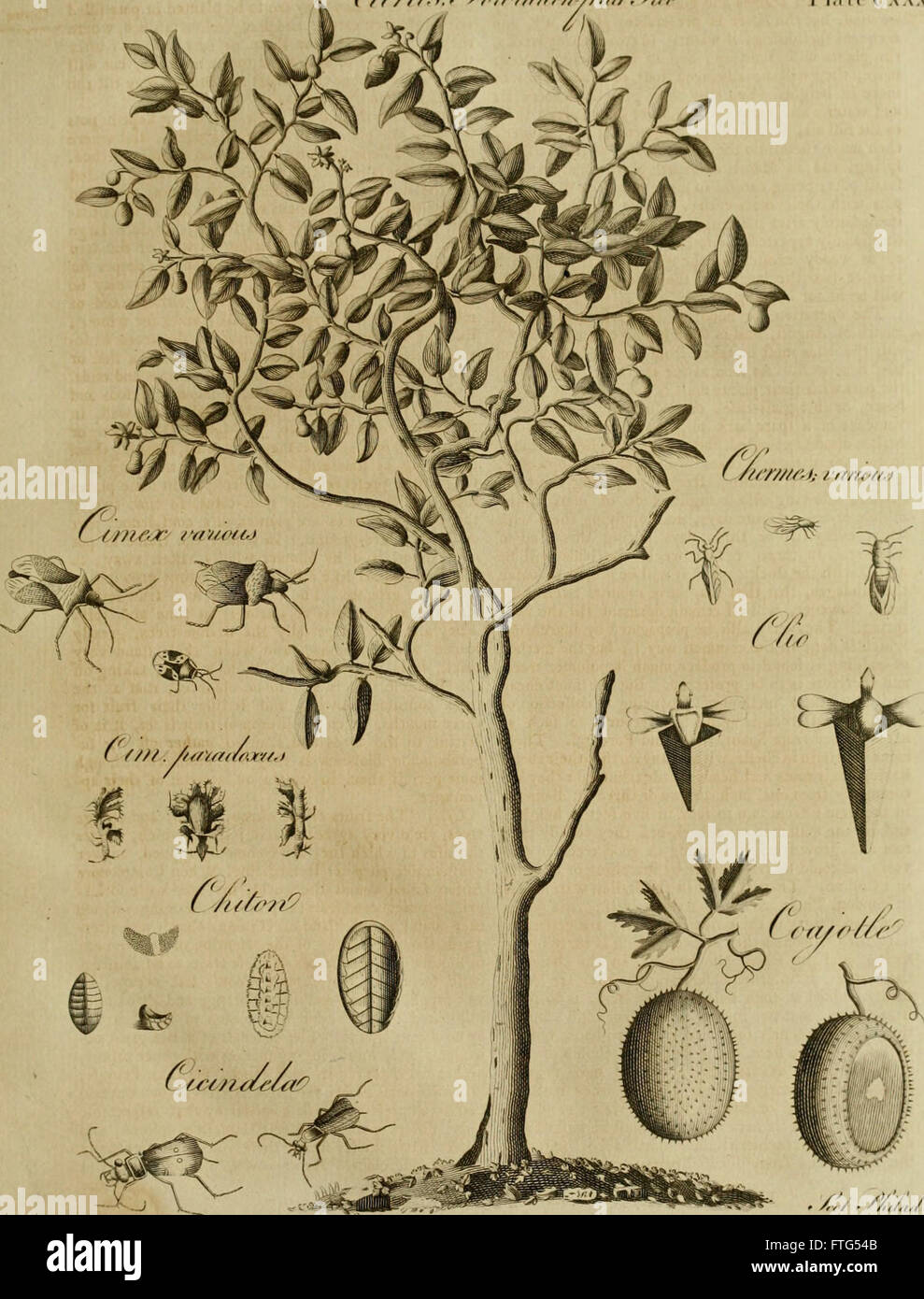 An encyclopedic dictionary covering various fields of arts, sciences ...