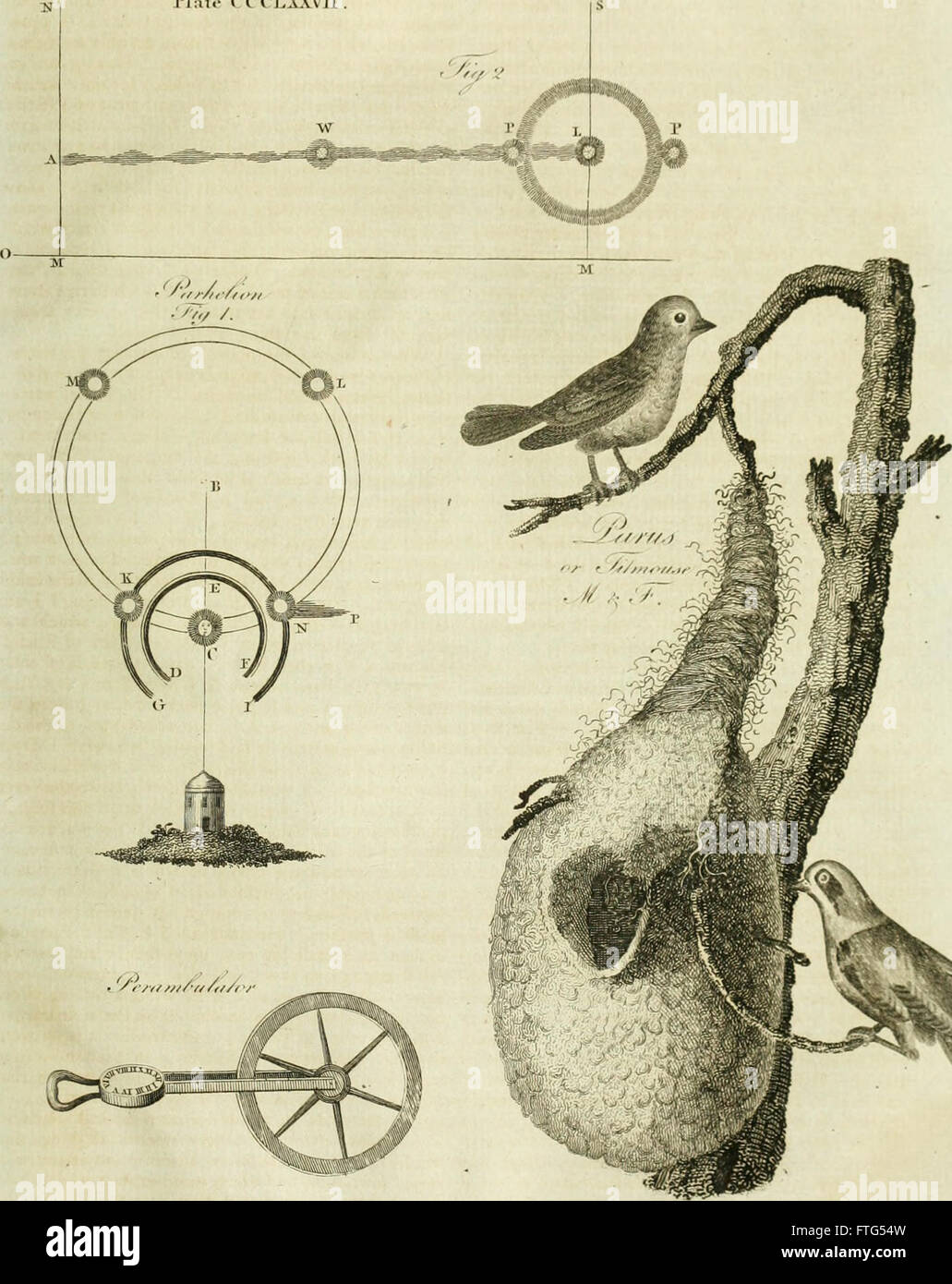An encyclopedic work that categorizes and defines various fields of ...