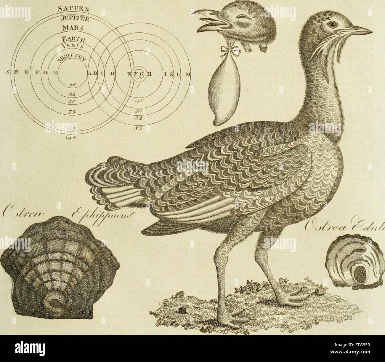 This encyclopaedia provides a comprehensive reference work ...