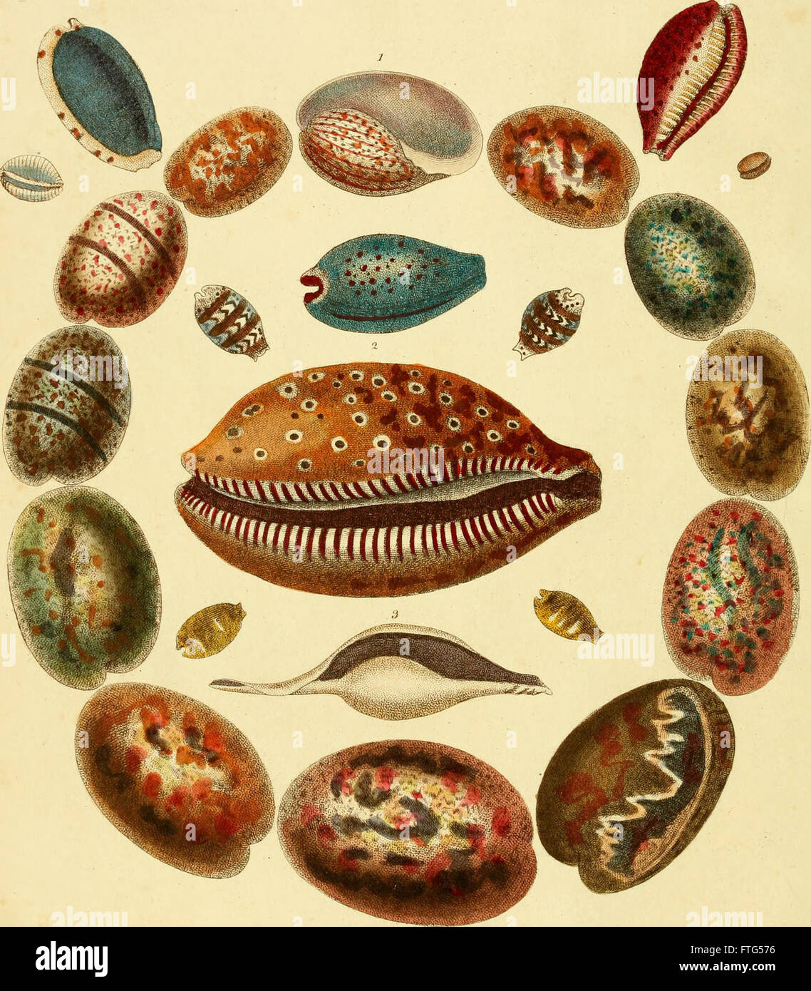 The 'Encyclopaedia Londinensis' is a comprehensive 18th-century ...