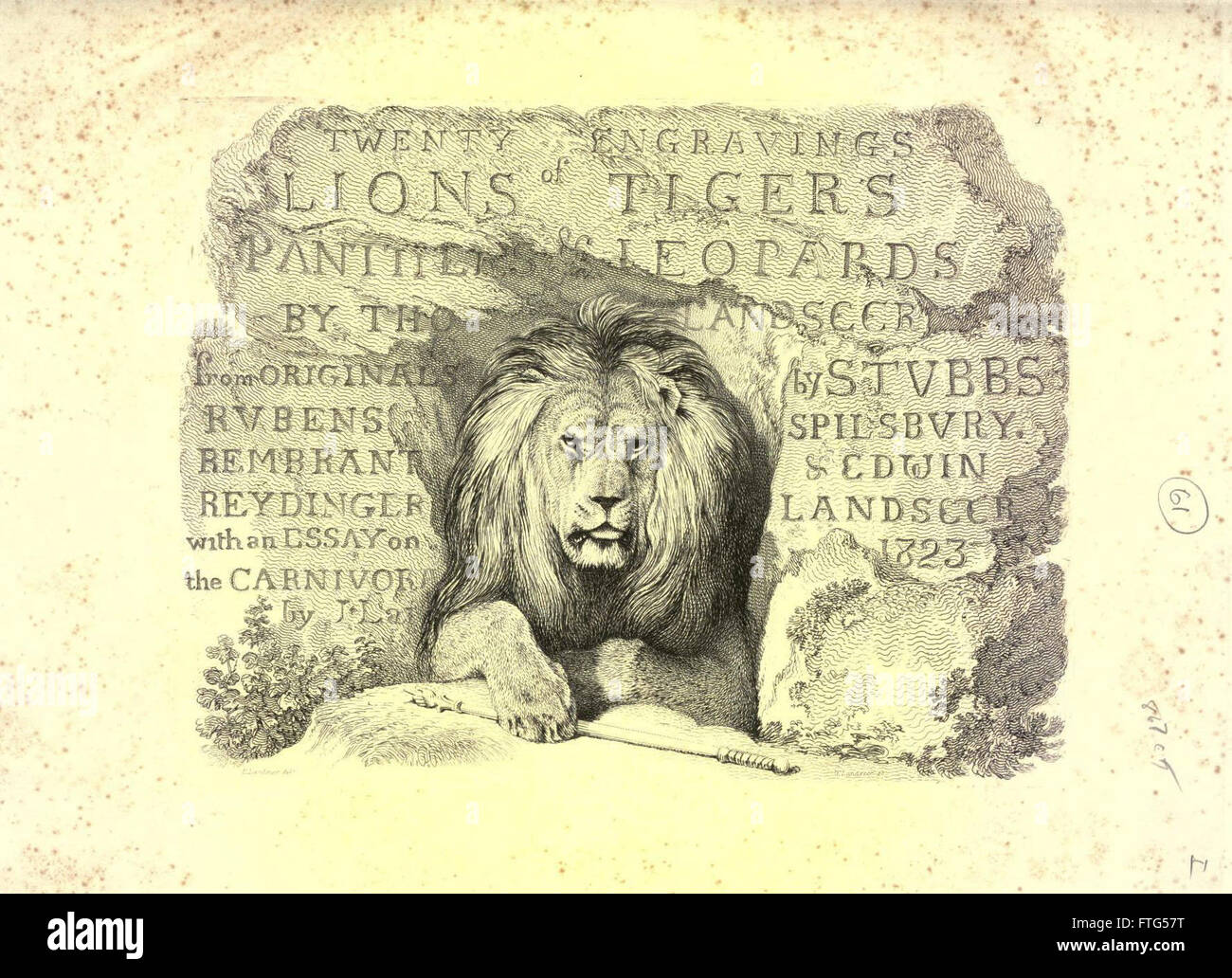 A detailed engraving from a series depicting various wild animals ...