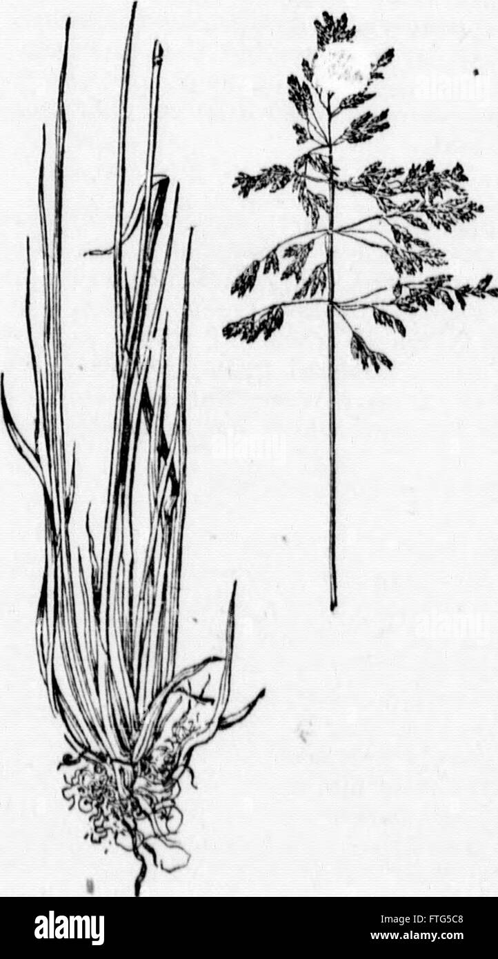 Inquiry testimony Black and White Stock Photos & Images - Alamy