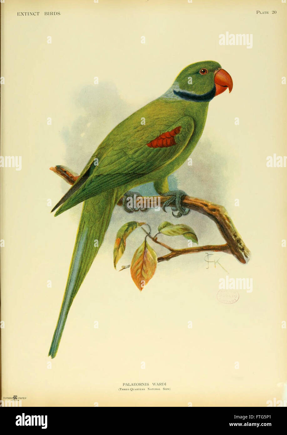 'Extinct Birds' (Plate 20) illustrates various species of birds that ...