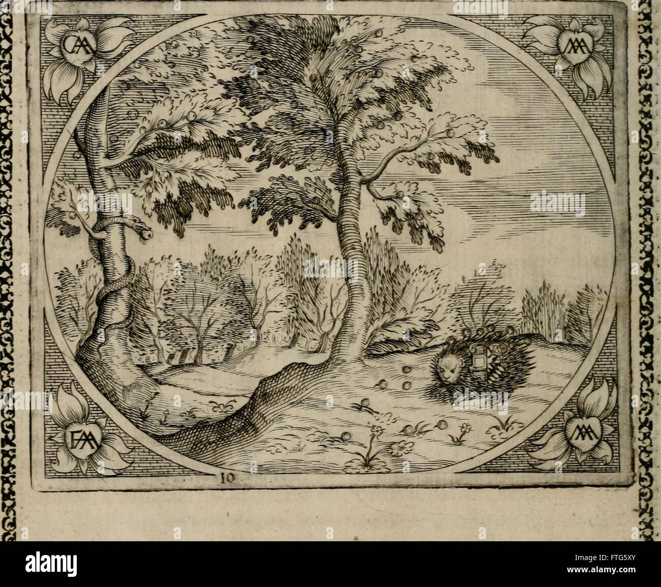 Dux font hi-res stock photography and images - Alamy