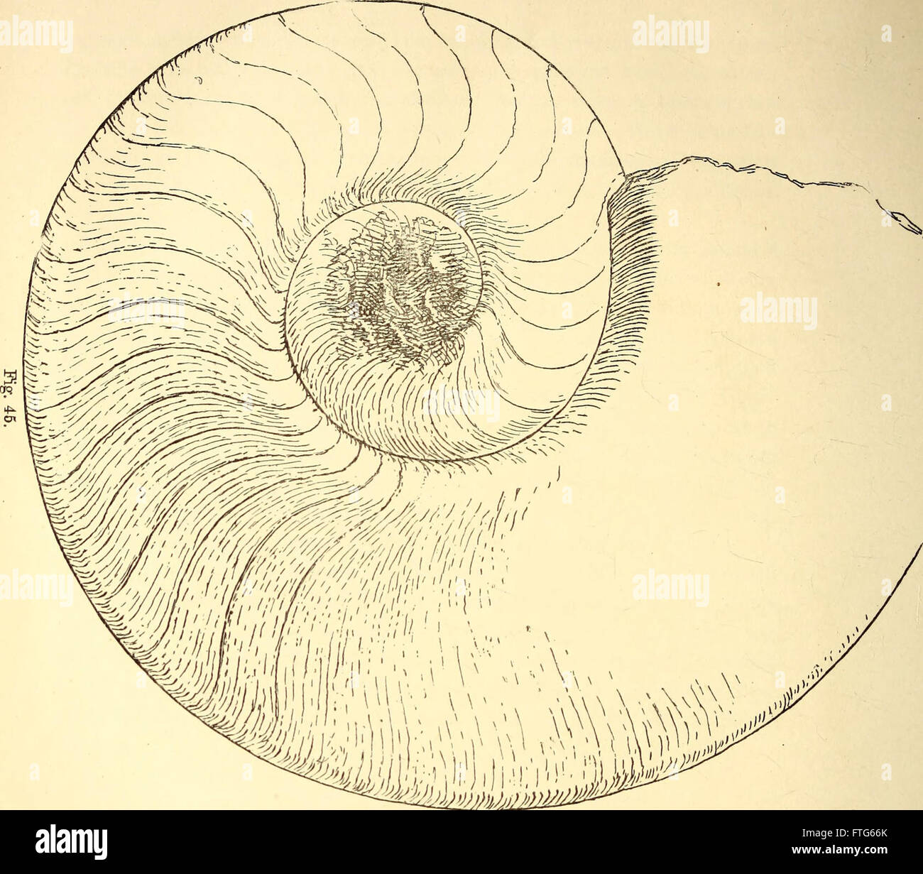 First geological map hi-res stock photography and images - Alamy