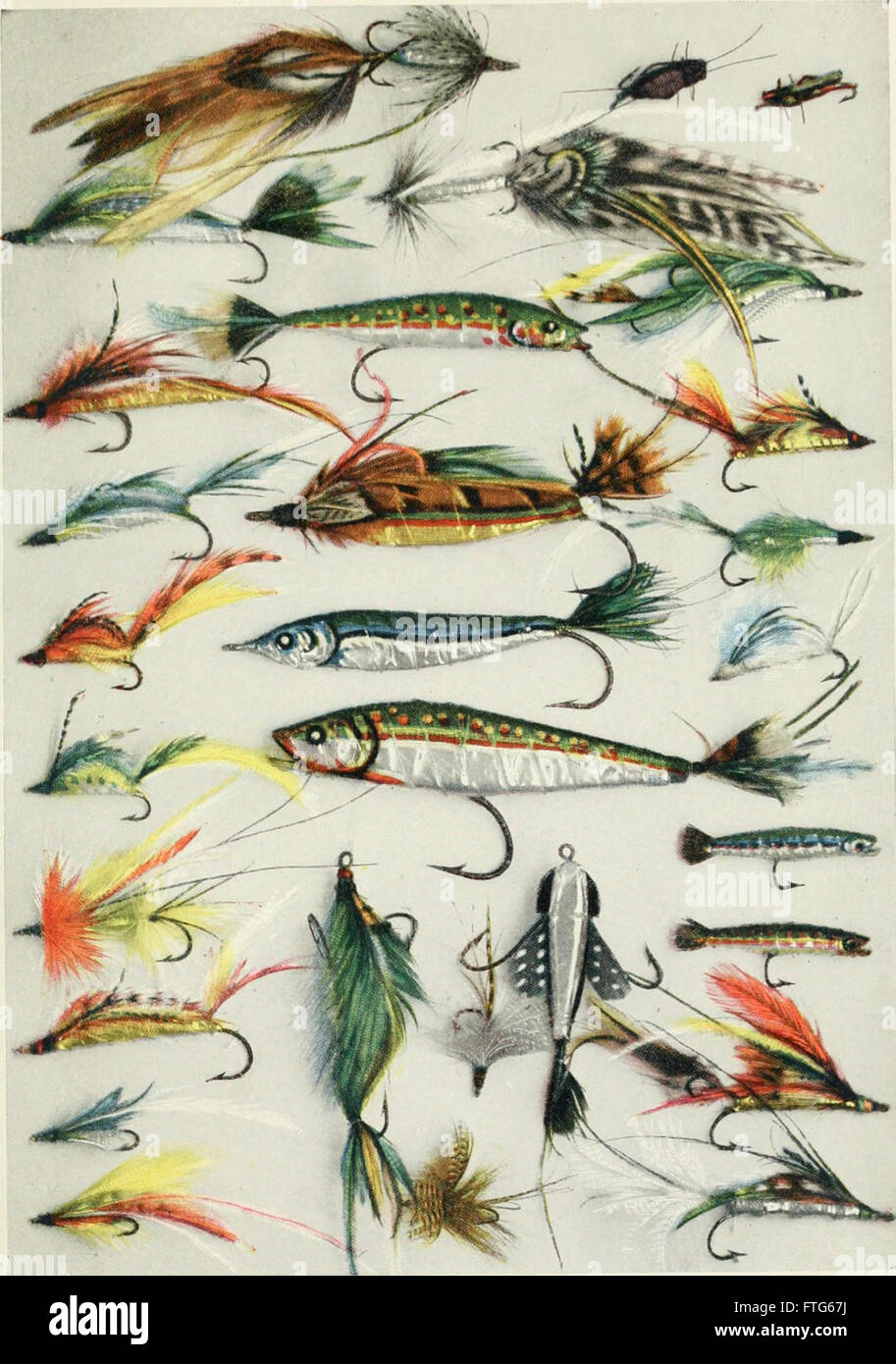 This guide discusses various fish lures and the food sources that ...
