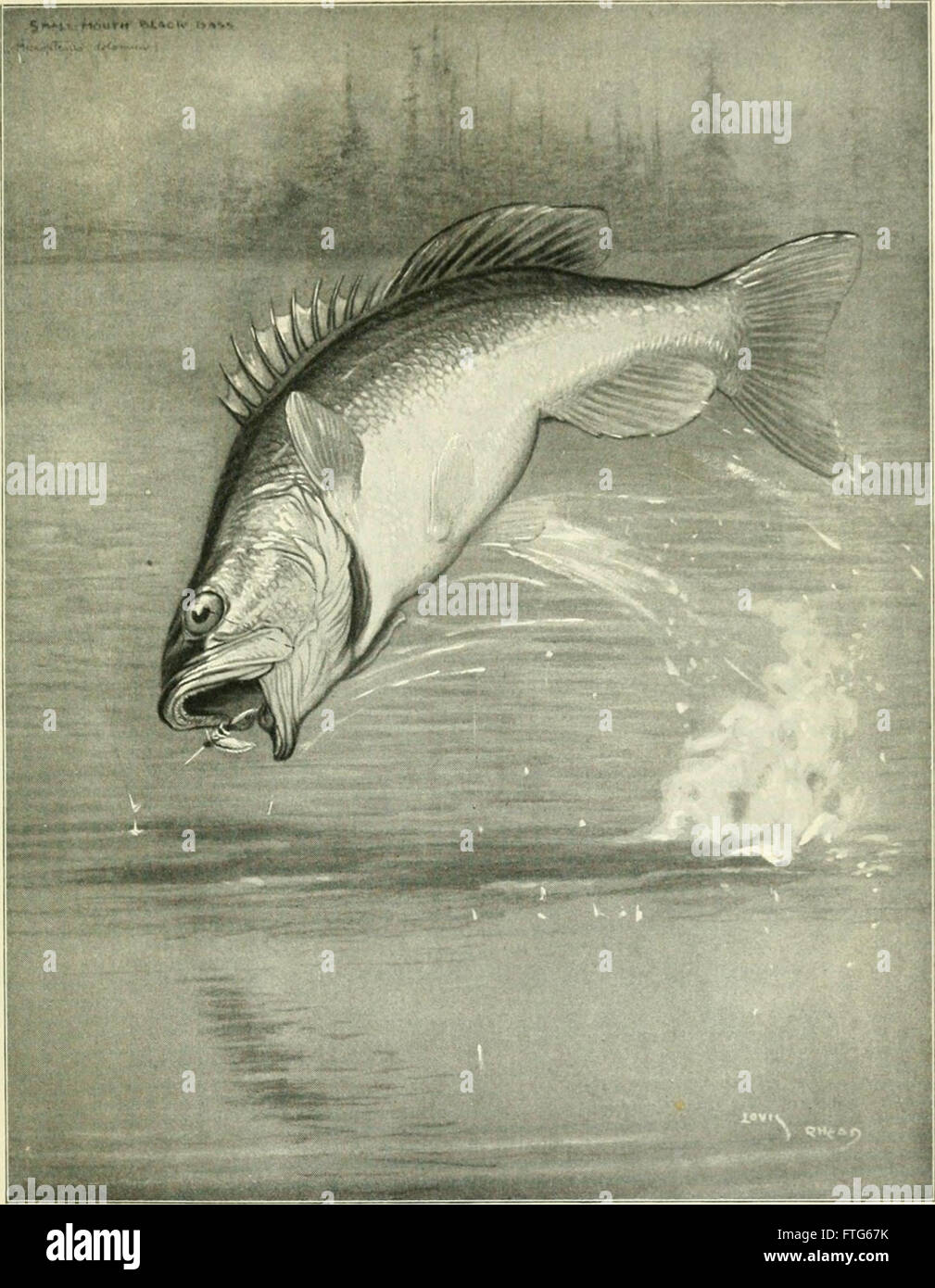 A detailed guide on fishing lures and game-fish food, featuring ...