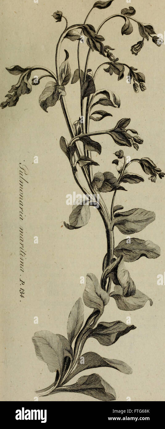 Systematic arrangement hi-res stock photography and images - Alamy