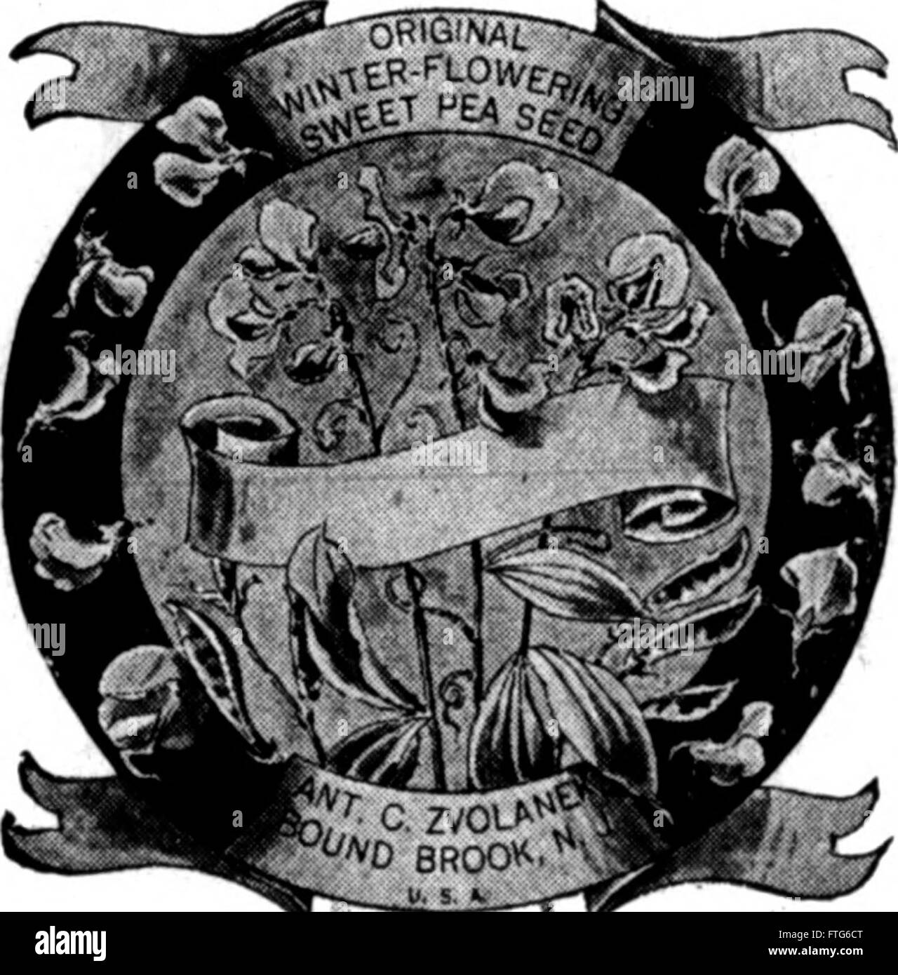 Growing markets Black and White Stock Photos & Images - Alamy