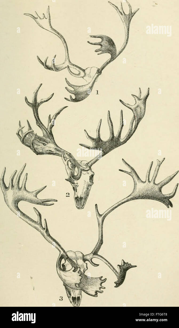 This 1869 work explores the natural history and recreational activities ...