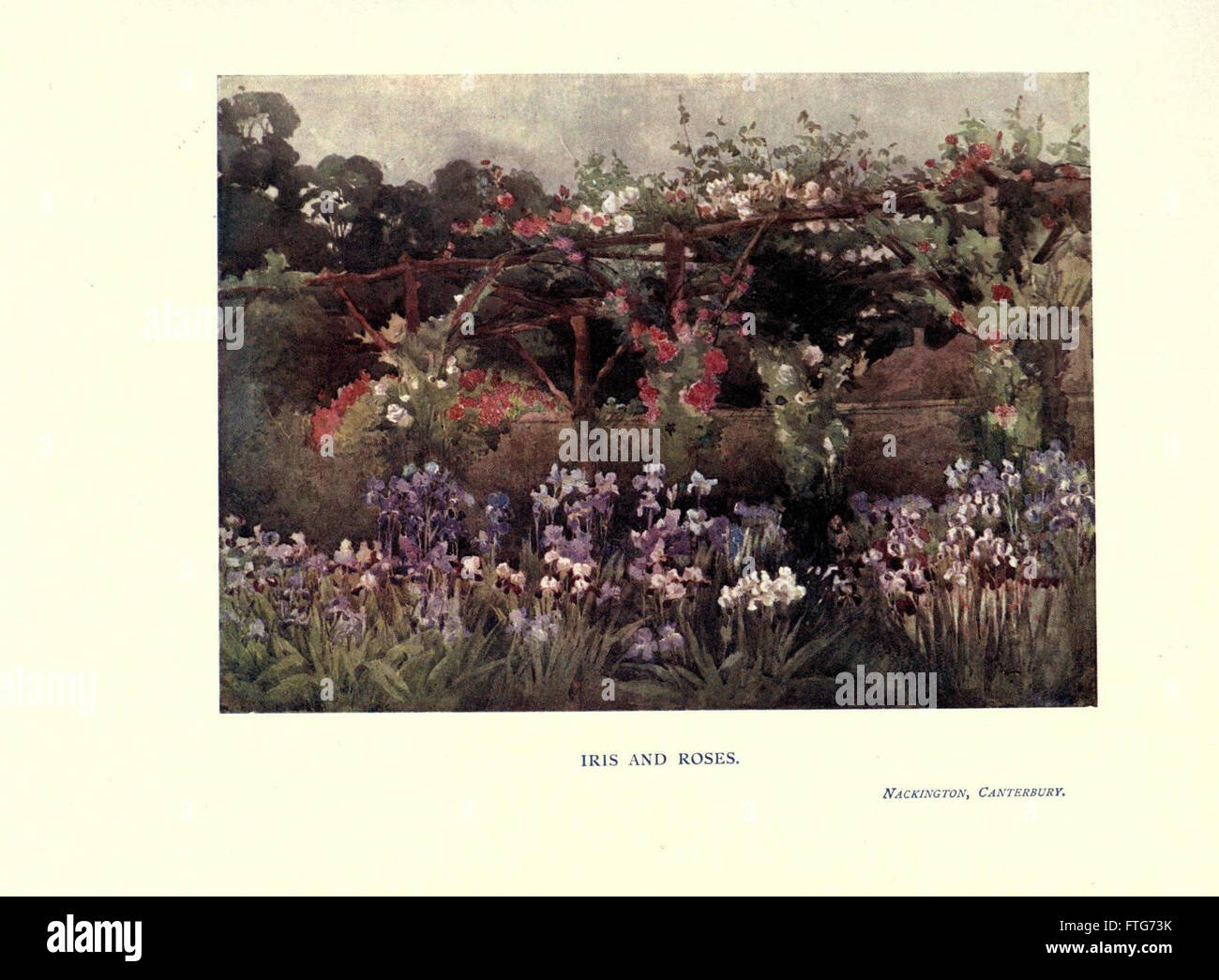 Vivid colour palette architecture hi-res stock photography and images ...