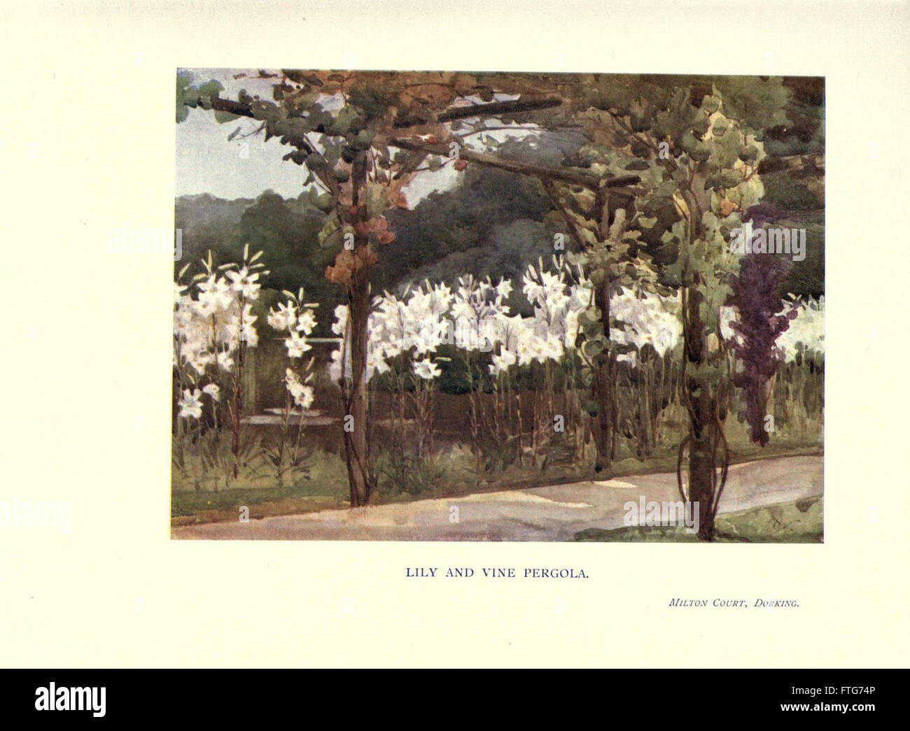 'Garden Colour' features a vibrant illustration of various flowers and ...