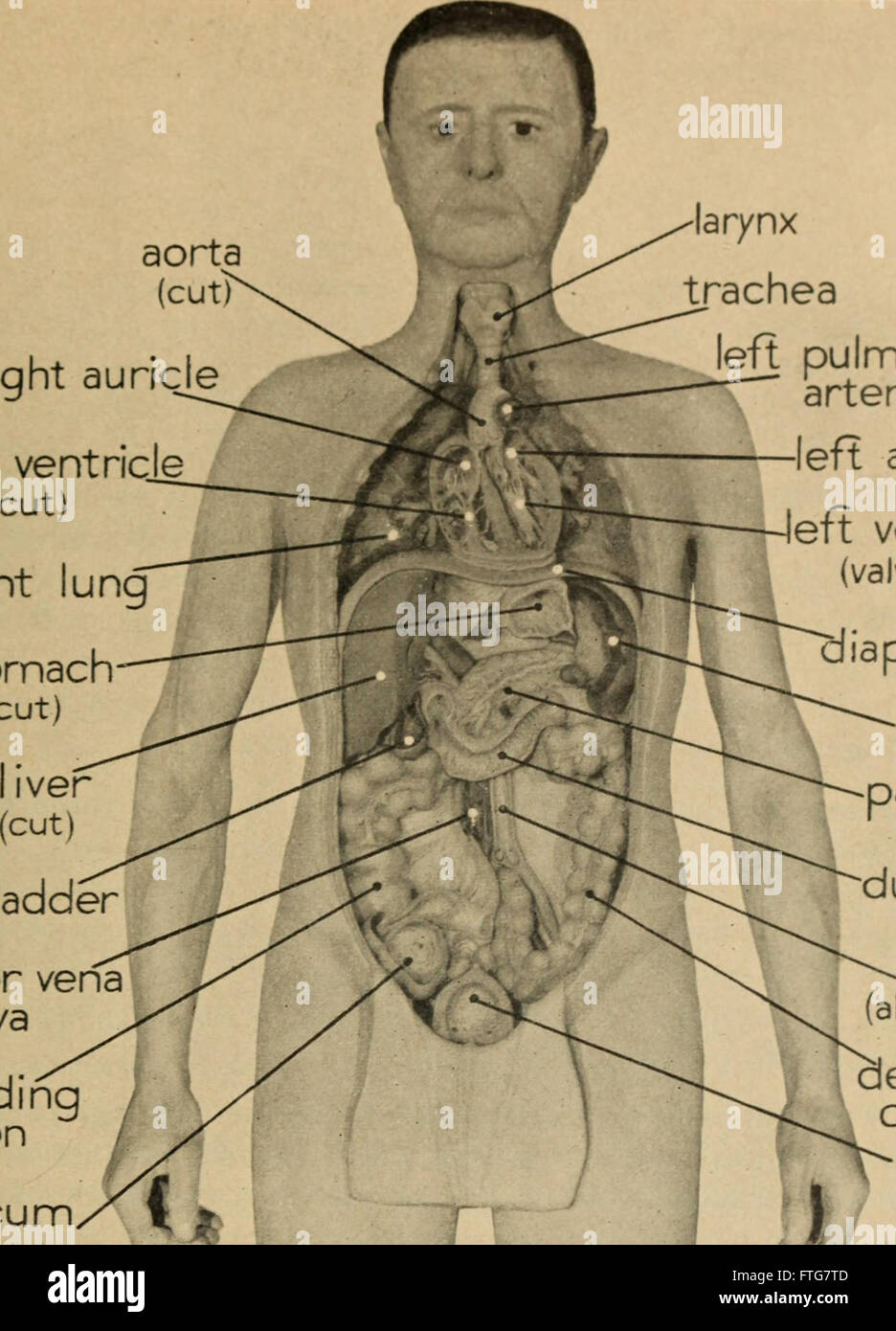 A 1901 guide leaflet offering practical advice and information on ...