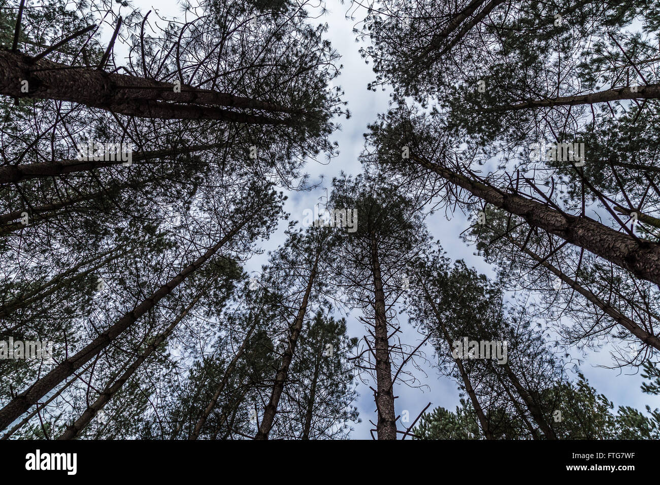 Santon warren hi-res stock photography and images - Alamy