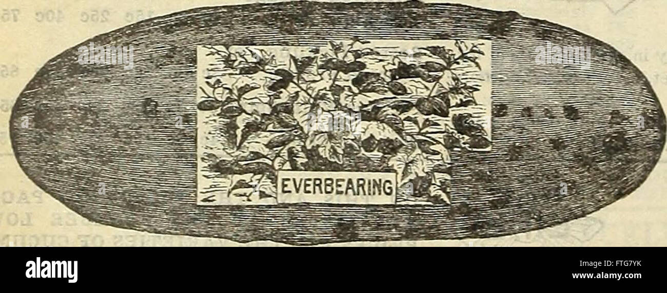 *H.W. Buckbee Seed and Plant Guide* (1907) is a comprehensive catalog ...