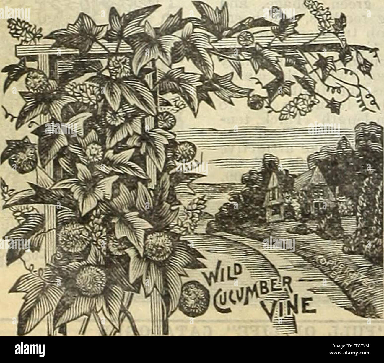 Plant guide book hi-res stock photography and images - Alamy