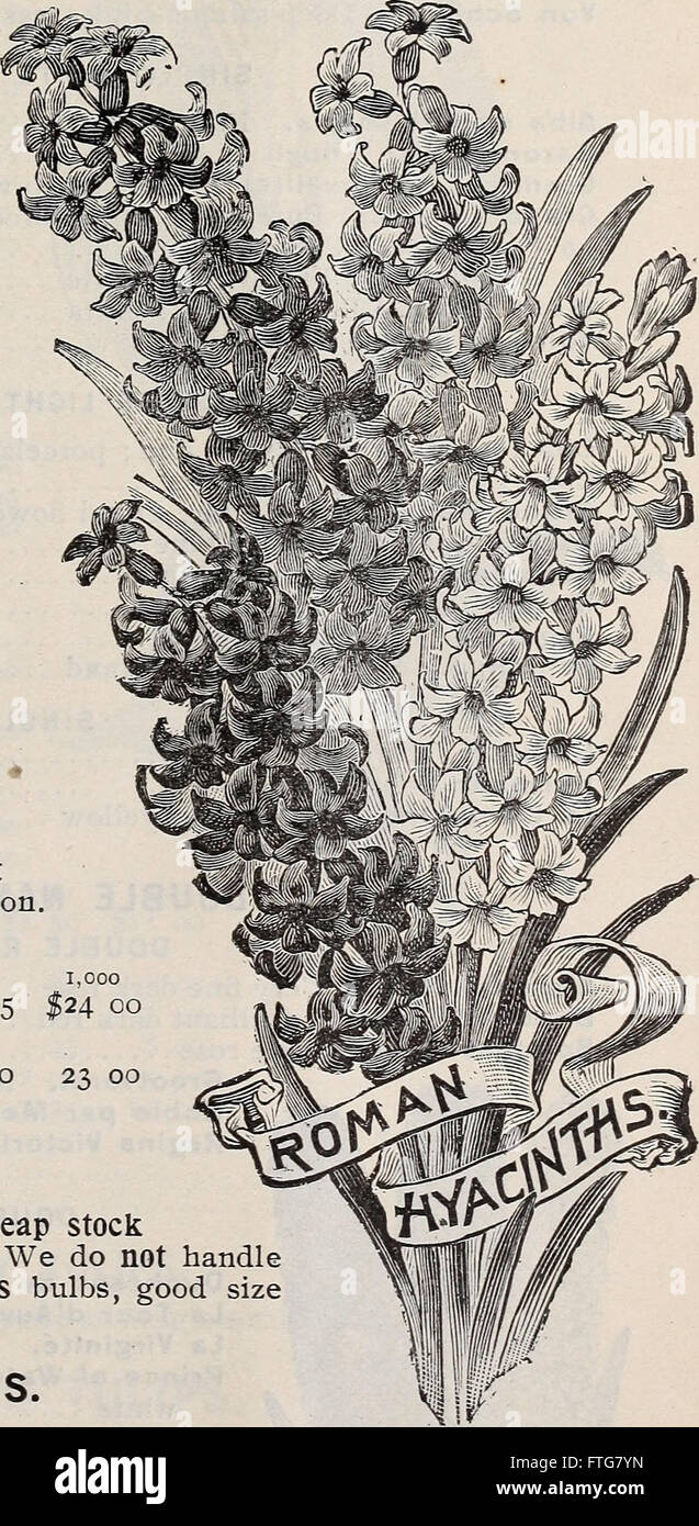 Berger h hi-res stock photography and images - Alamy