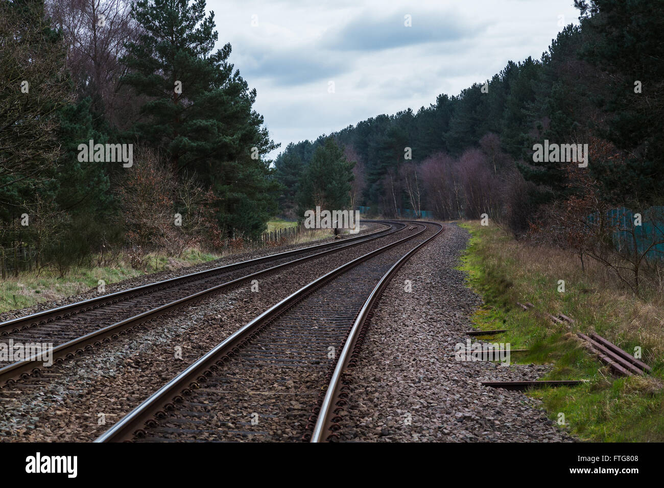A train line curving out of the frame at Santon Warren, Norfolk Stock ...