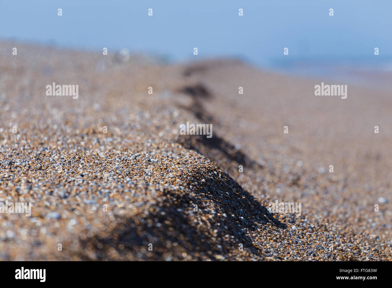 Tidal shelf hi-res stock photography and images - Alamy