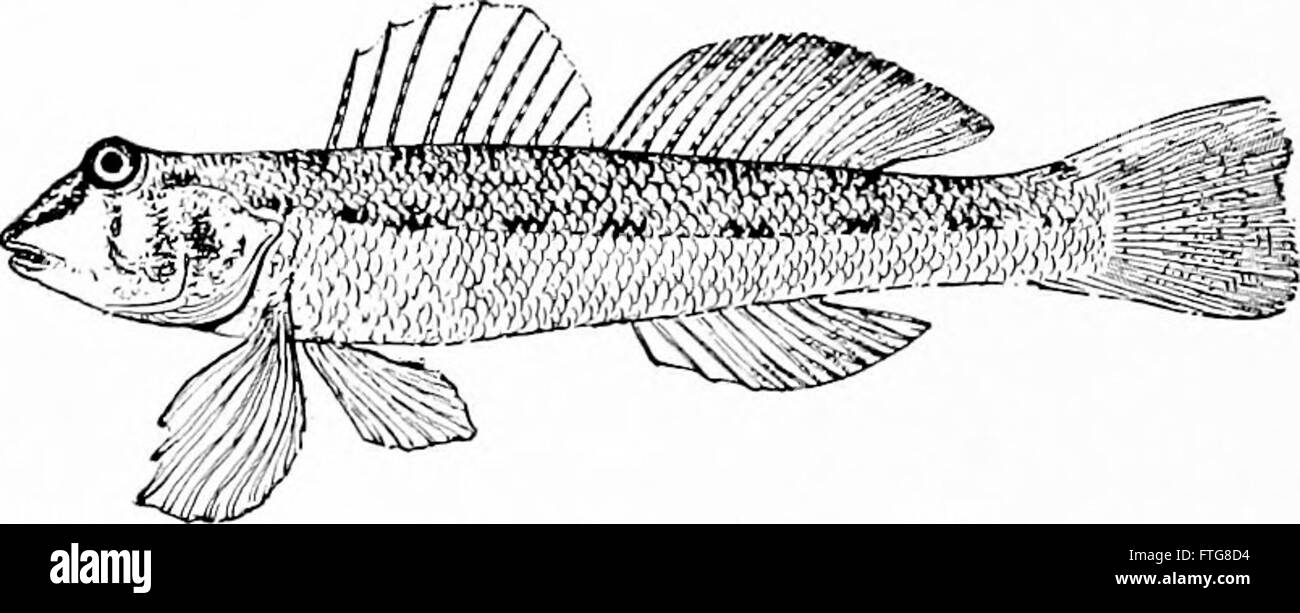 Environmental guides Black and White Stock Photos & Images - Alamy