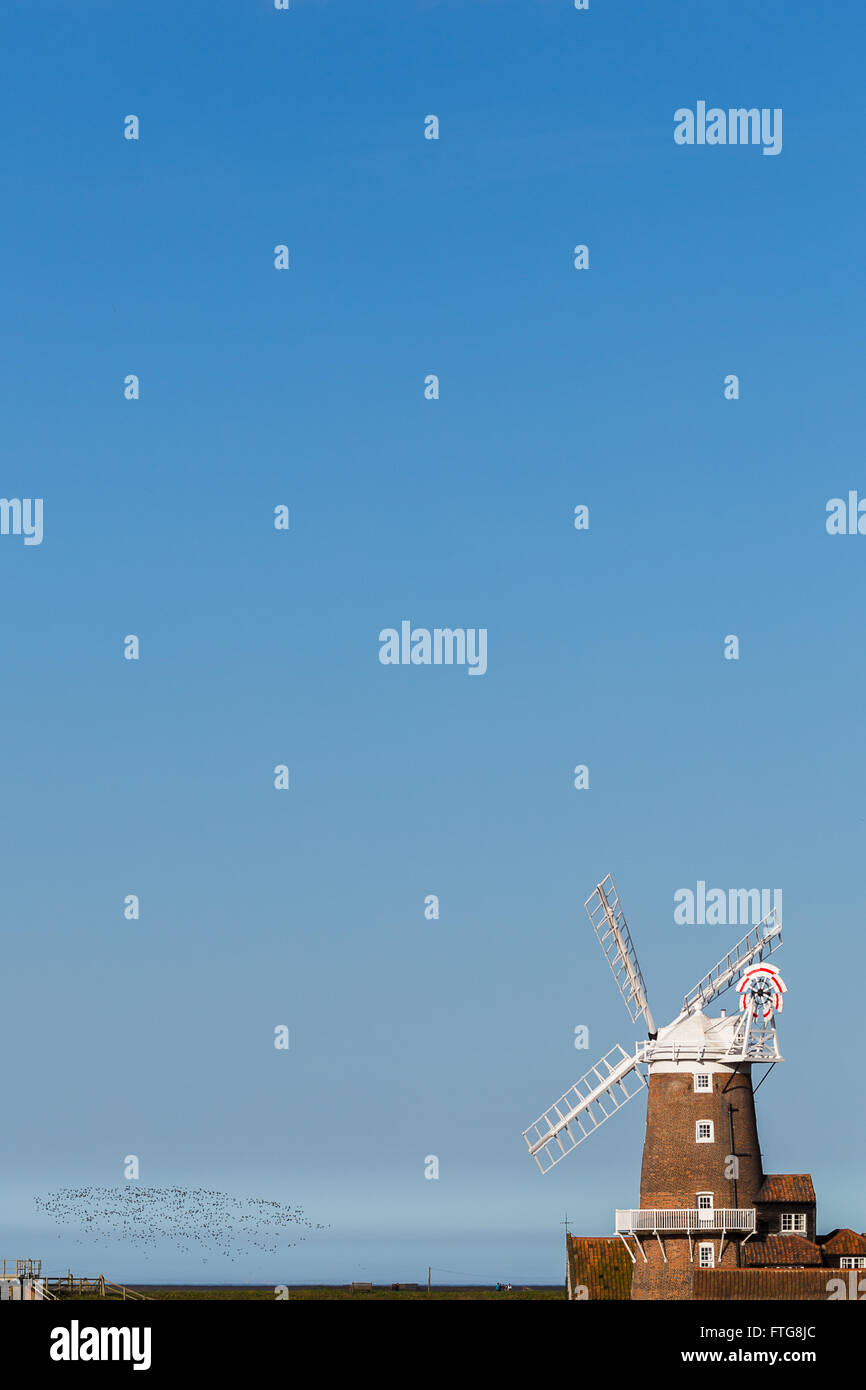 birds landscape bird sail windmill building cley Stock Photo - Alamy