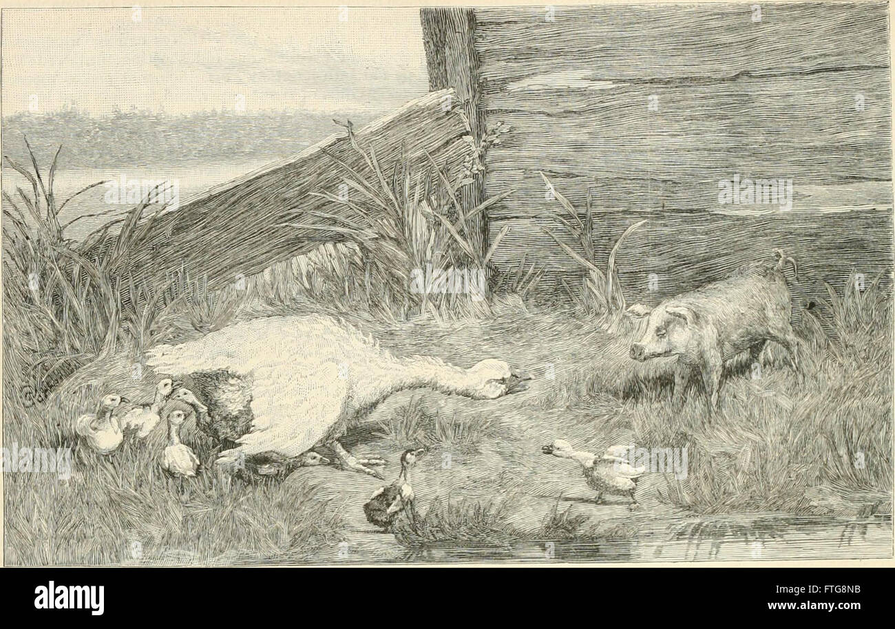 *Harper's Young People* (1879) was a children's magazine featuring ...