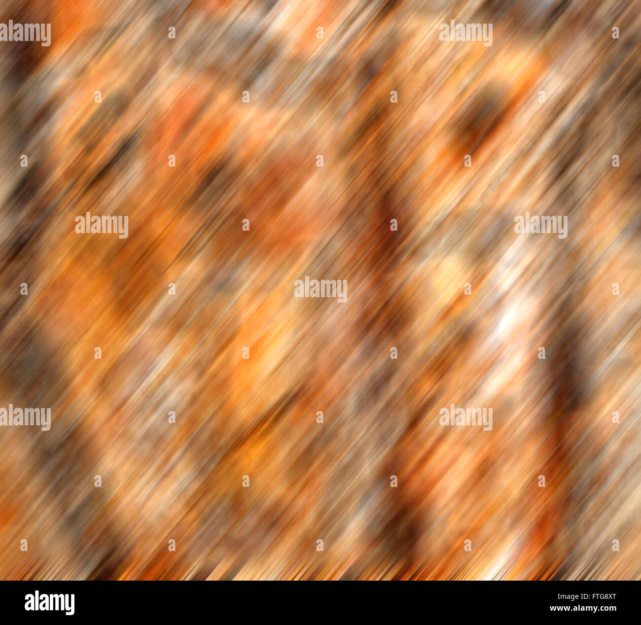 barck in the abstract close up of a tree color and texture Stock Photo ...