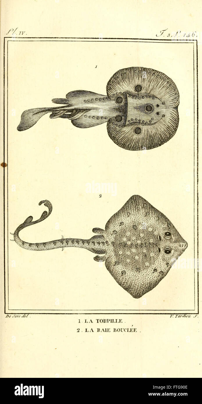 A detailed study on fish species, their taxonomy, habitats, and ...