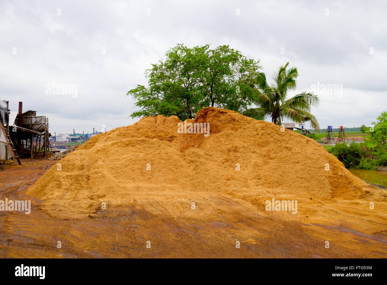 Rice Husk for use as energy Stock Photo - Alamy