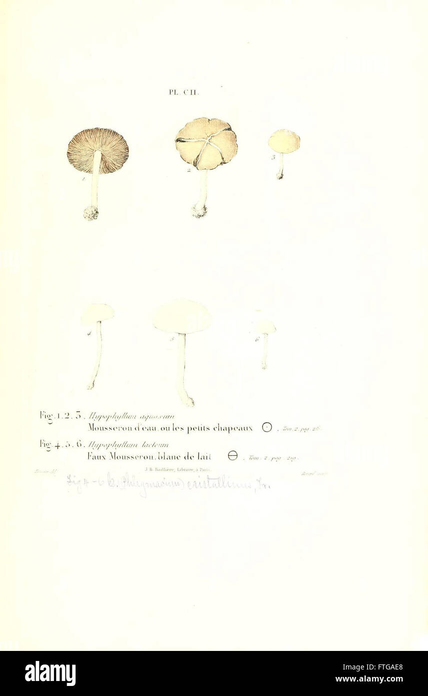 Iconographie des Champignons de Paulet is a detailed botanical ...