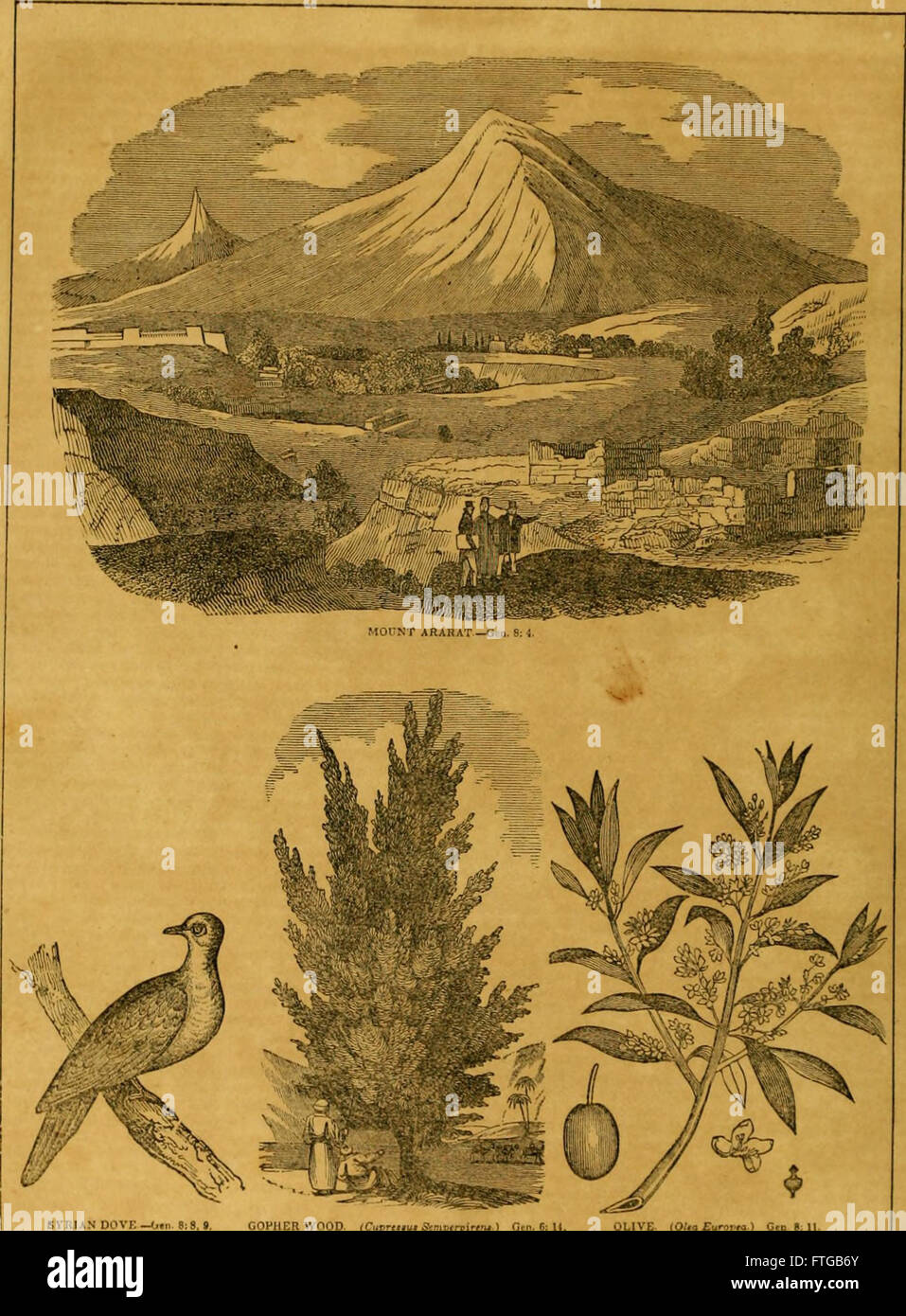 'Illustrations of the Holy Scriptures' presents visual depictions of ...