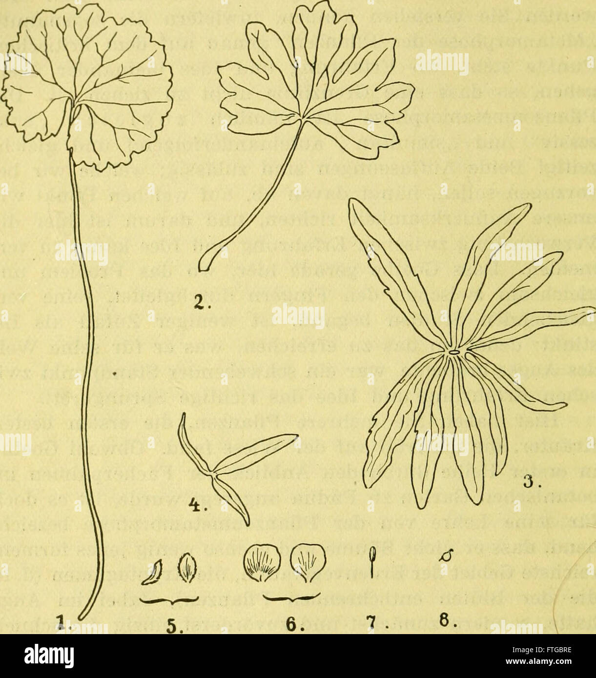 Immanuel kant manuscript hi-res stock photography and images - Alamy