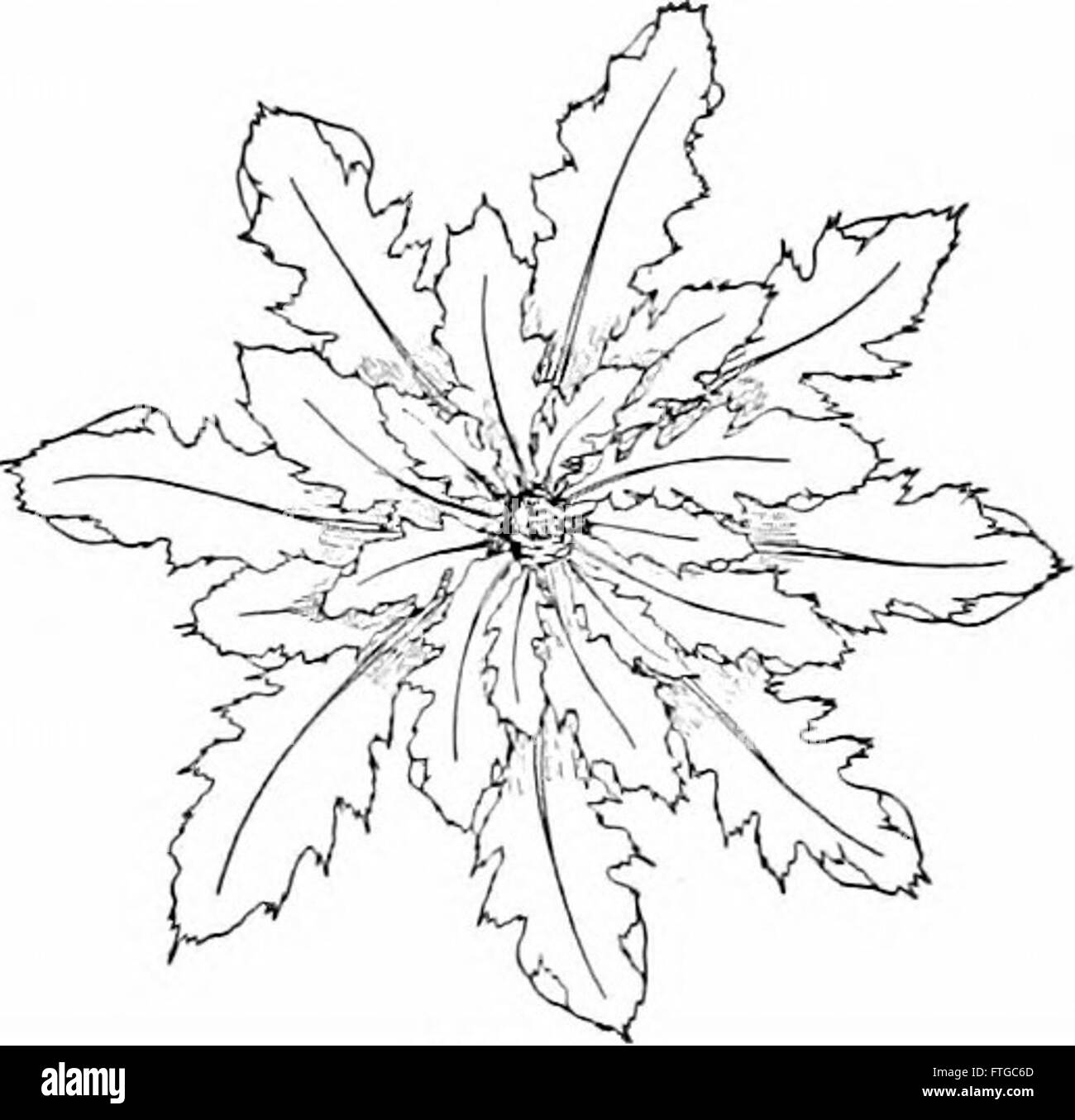 A 1902 educational text introducing botany, the scientific study of ...