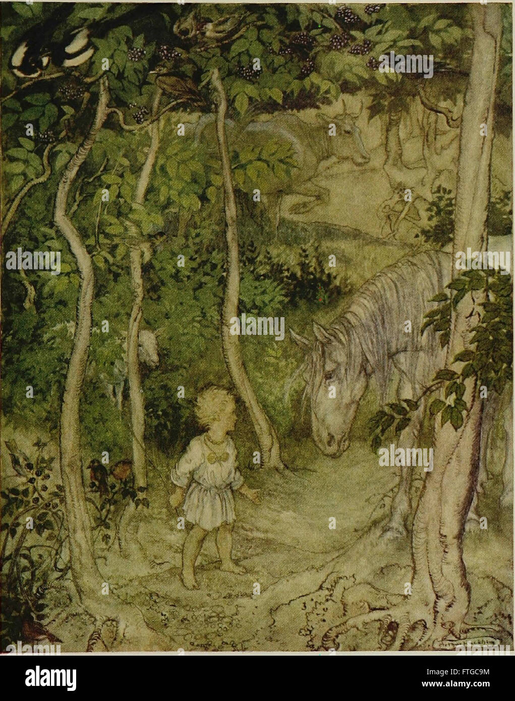 Superstition mythical creatures hi-res stock photography and images - Alamy