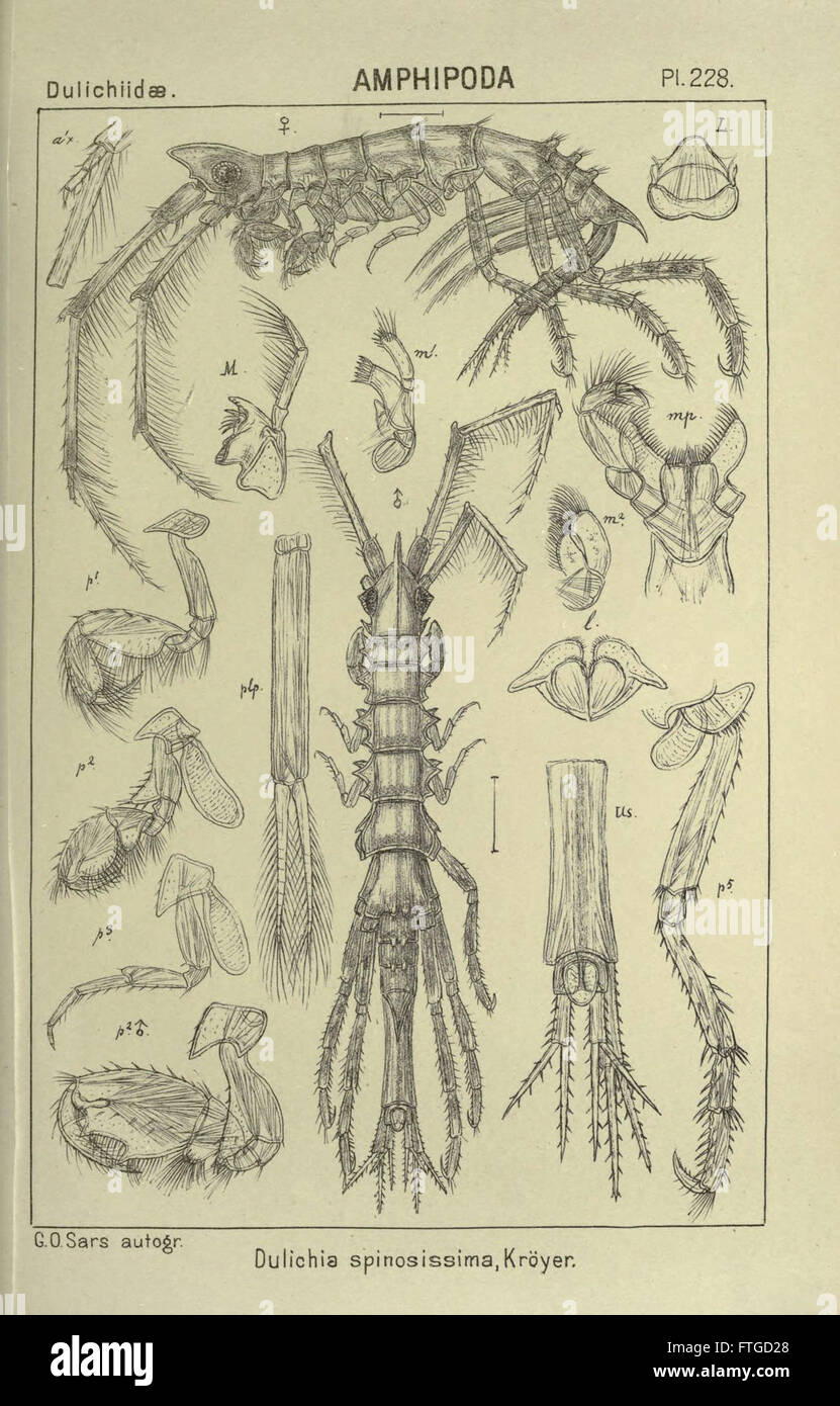A scientific account detailing the crustacean species of Norway, with a ...